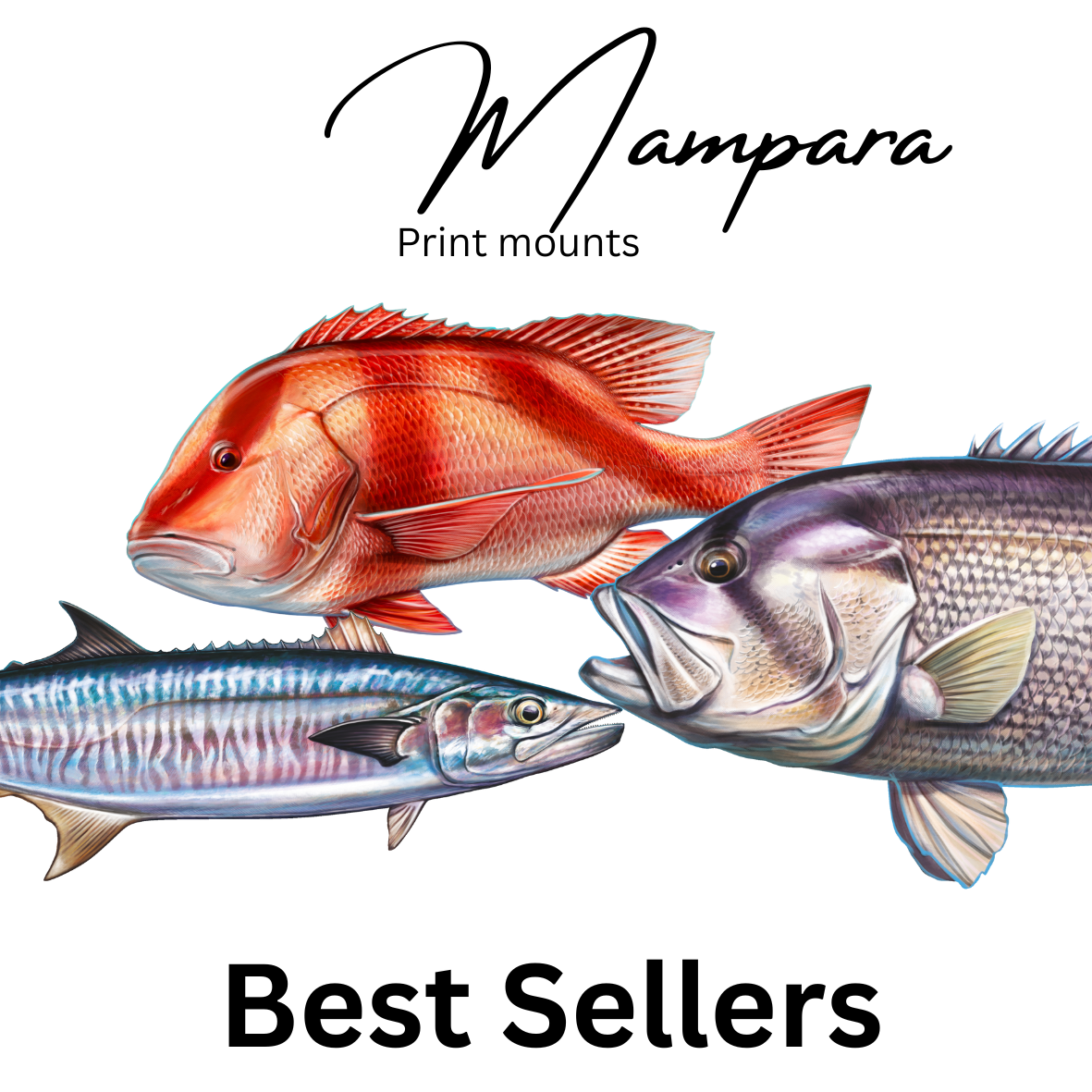 Best Sellers – Mampara .....Australian Print Mounts