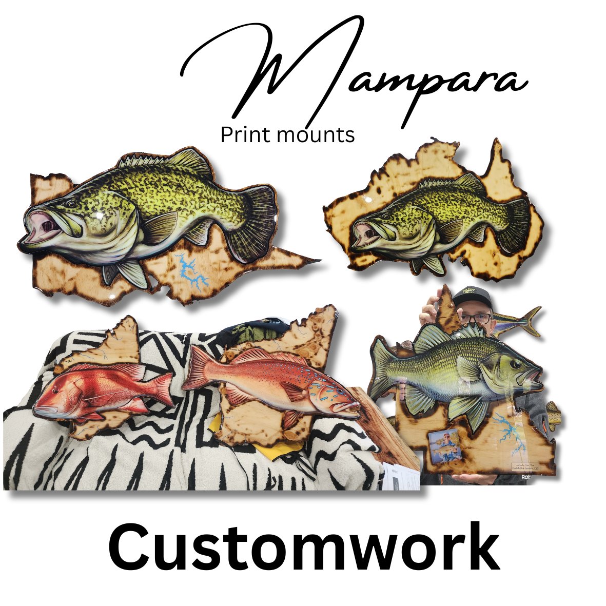 Mampara ... Australian Fish Print Mounts – Mampara .....Australian ...