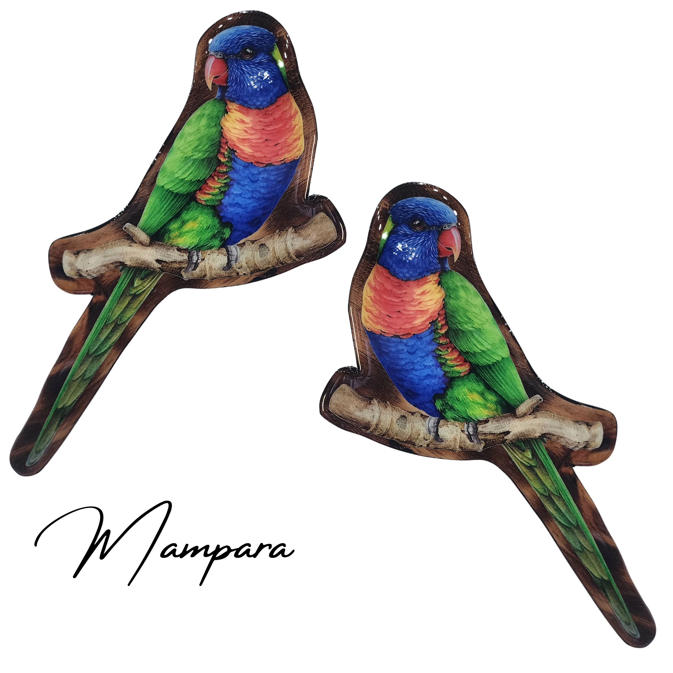 Rainbow Lorikeet print mount – Mampara .....Australian Print Mounts