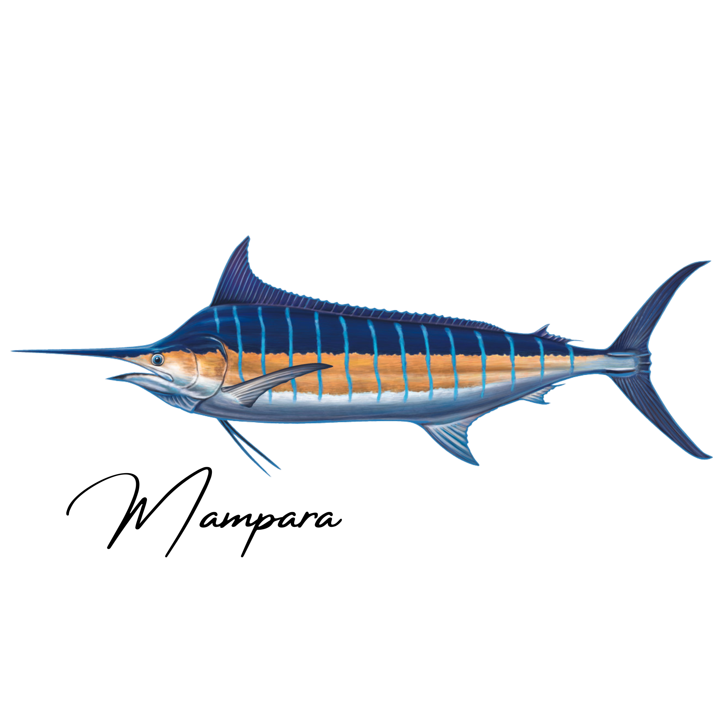 Blue Marlin Side profile mount 100cm – Mampara .....Australian Print Mounts