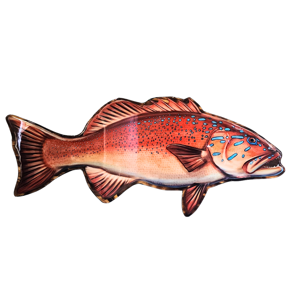 Coral Trout Print mount 80cm in length – Mampara .....Australian Print ...