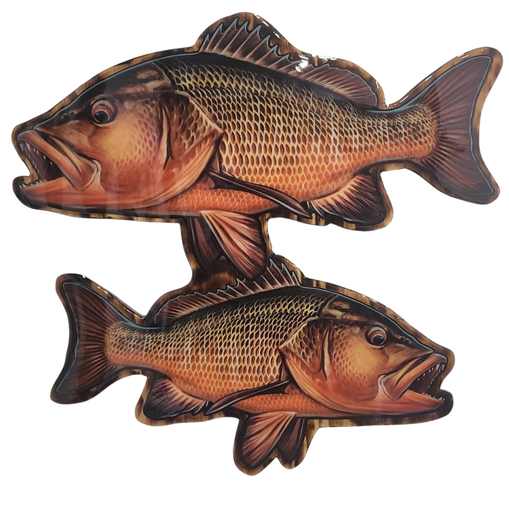 "Jack on Jack" Mangrove Jack print mount – Mampara .....Australian ...