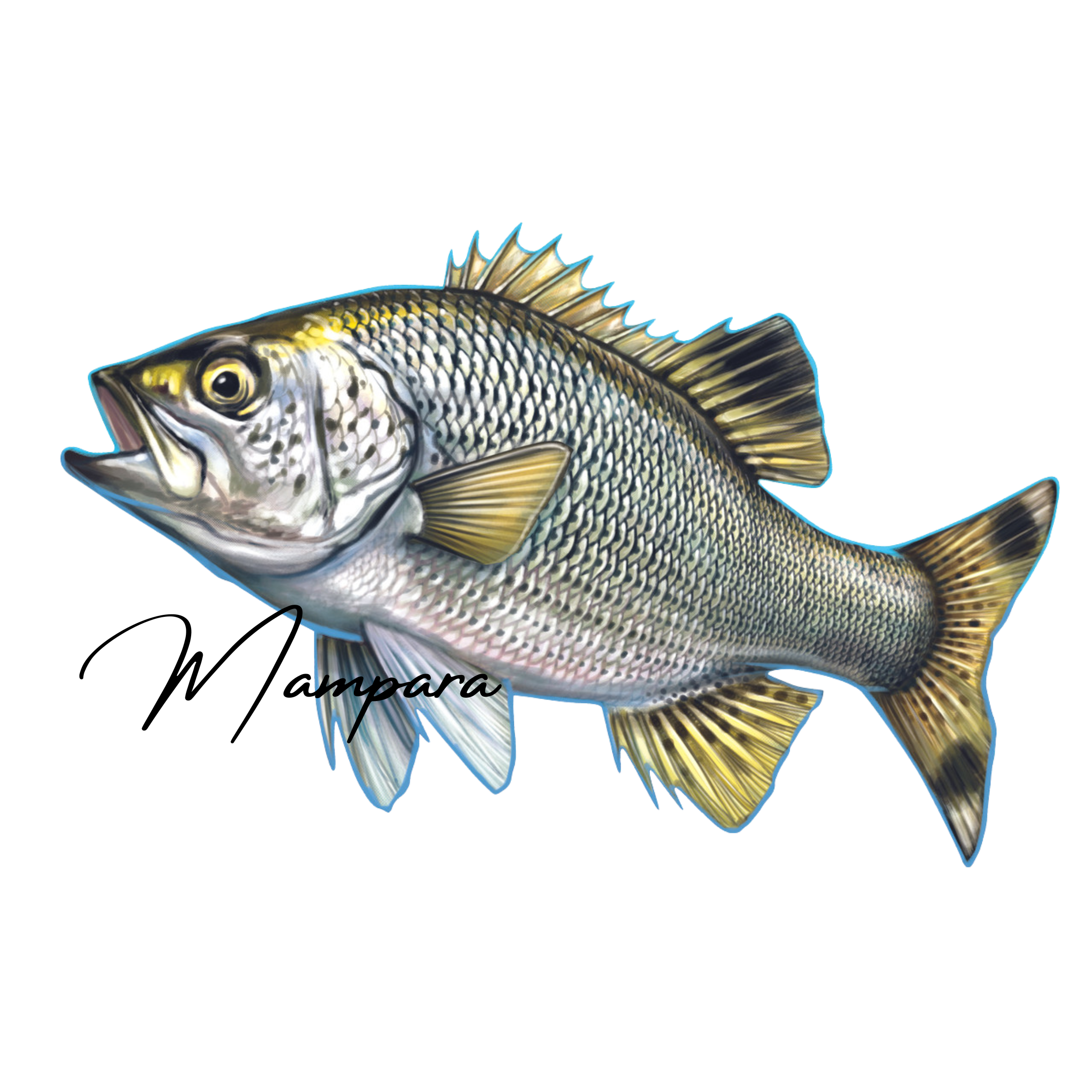 Jungle Perch Print mount – Mampara .....Australian Print Mounts